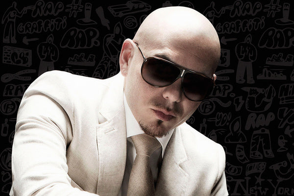 Pitbull Poster – My Hot Posters