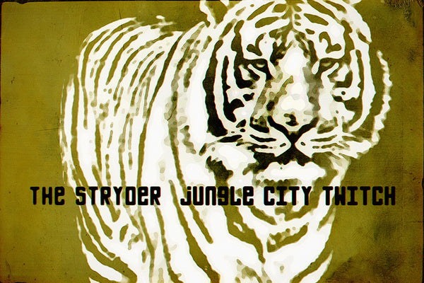 The Stryder Pop Punk Band Poster – My Hot Posters