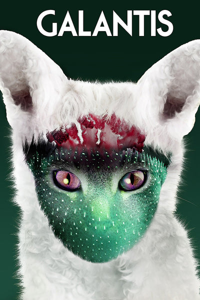 Galantis Runaway Music Poster – My Hot Posters