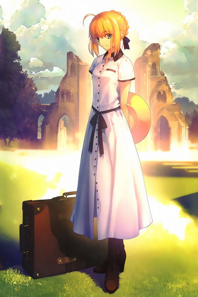 Fate/Stay Night Saber Anime Novel Poster – My Hot Posters