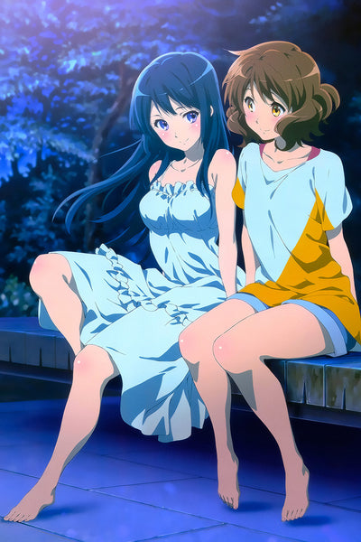 Sound! Euphonium Anime Novel Poster – My Hot Posters